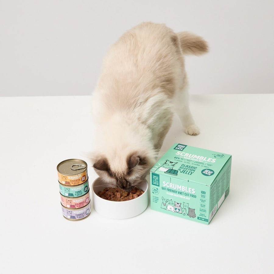 Jelly Cat Food – Scrumbles: Natural Pet Food