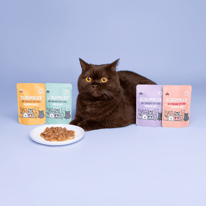 Wet Cat Food – Scrumbles: Natural Pet Food