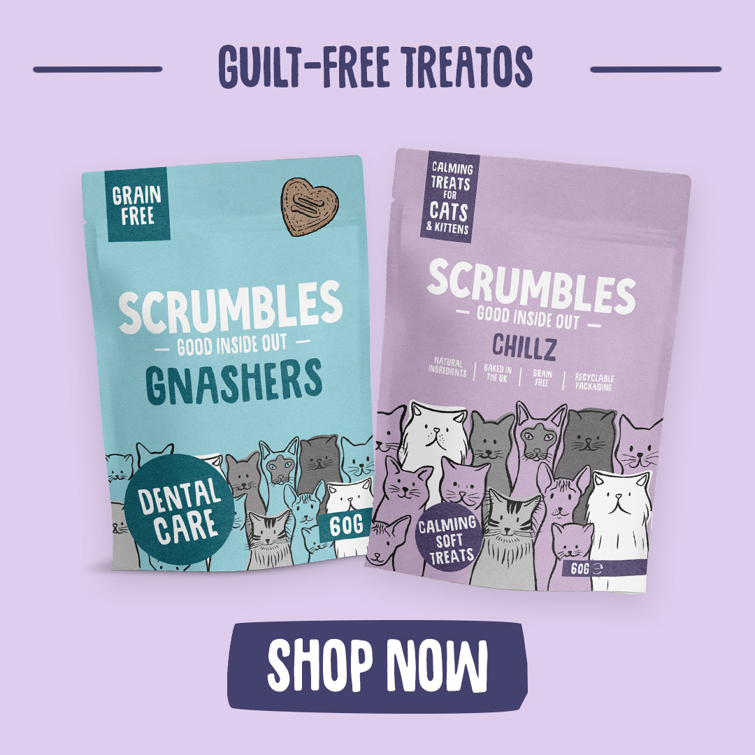 The Ultimate Guide to Cat Food – Scrumbles: Natural Pet Food