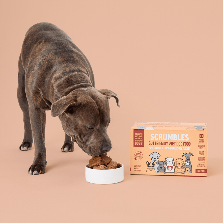 Grain Free Wet Dog Food for Sensitive Dogs – Scrumbles: Natural Pet Food